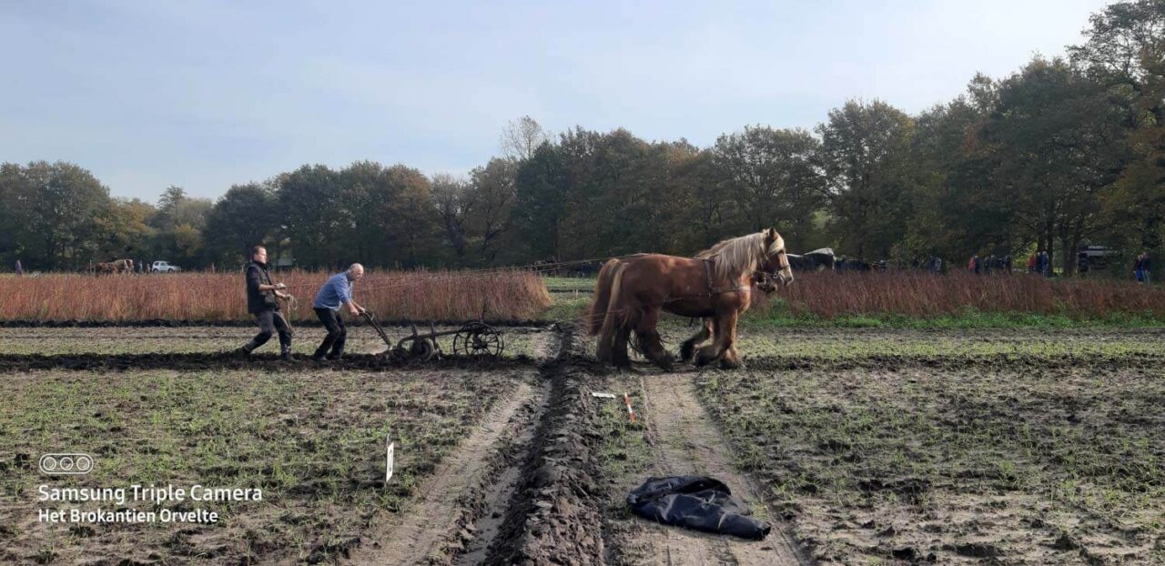 Evenementen - Ontdek Orvelte